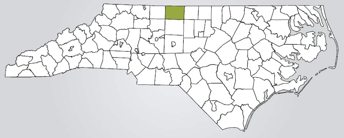 Rockingham County School System: Data, performance - EducationNC