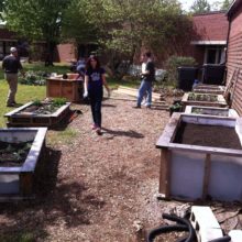 Why School Gardens Are Important Ednc