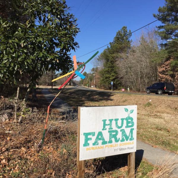 Why School Gardens Are Important Ednc