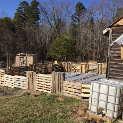 Why School Gardens Are Important Ednc