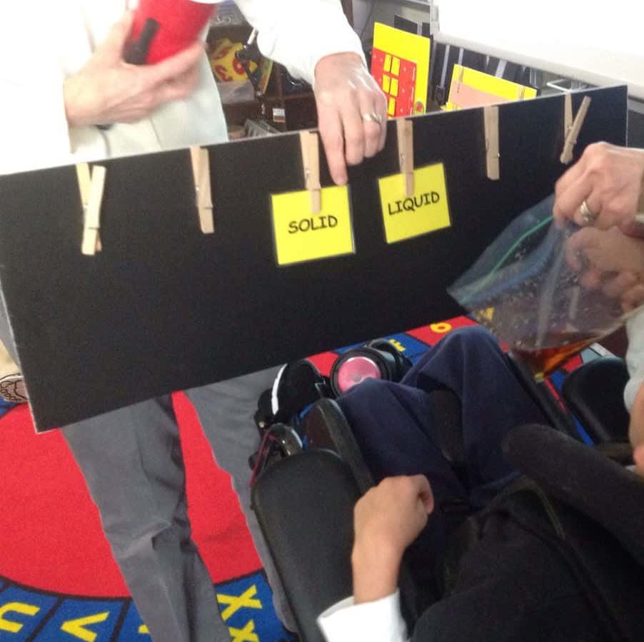 Differentiated science and math for students with multiple disabilities ...