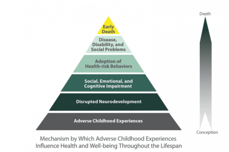 Changing our mindset...literally - EdNC