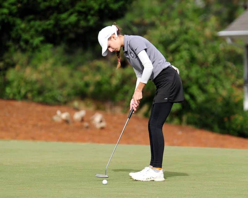 Asheville’s Tsiros, Rockingham County girls golfers make history in ...