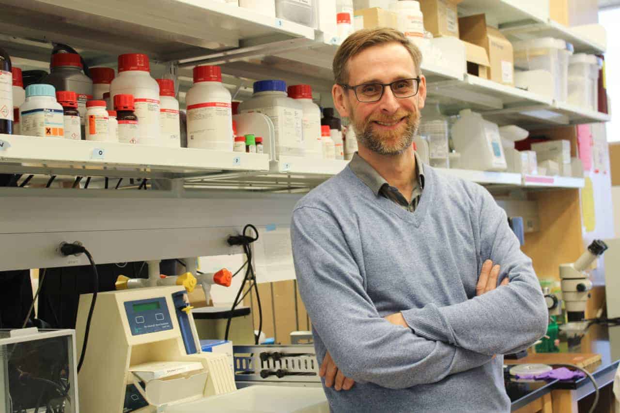 Is vaping safer? Not for your lungs, says UNC researcher - EdNC