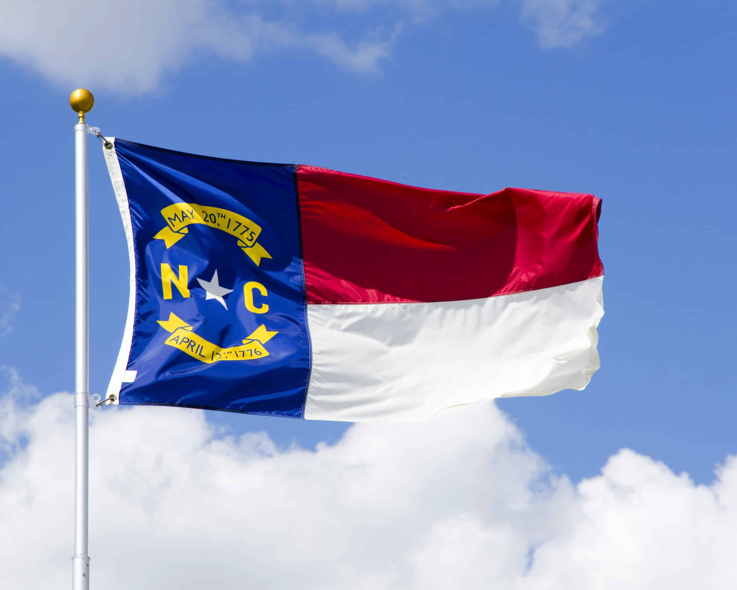 What you need to know to be an effective advocate: North Carolina ...