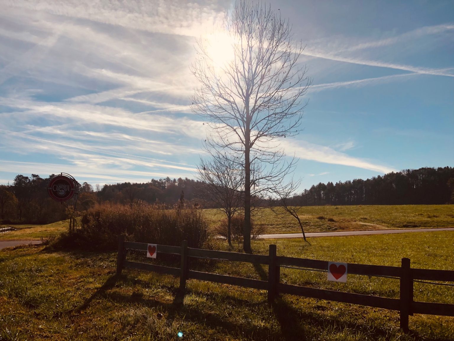 North Carolina State Government 101: A guide - EdNC