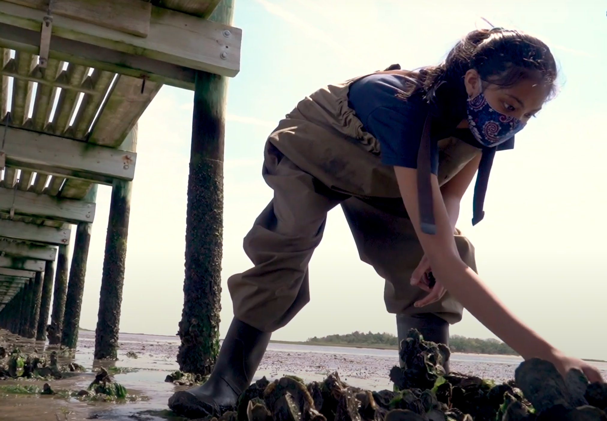 Science fair film documents NC students' research - EdNC