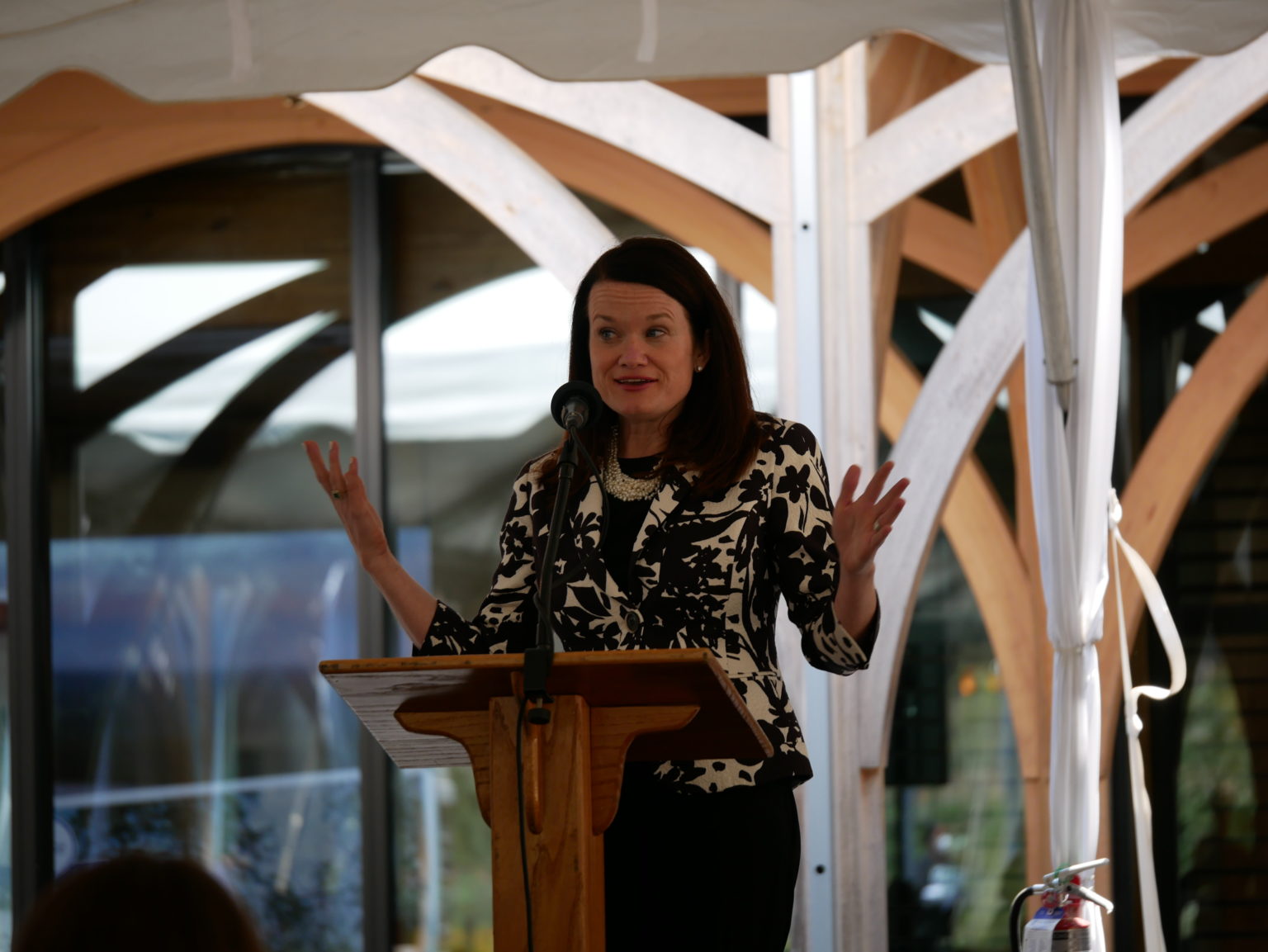 Building a universal early childhood system in NC - EdNC