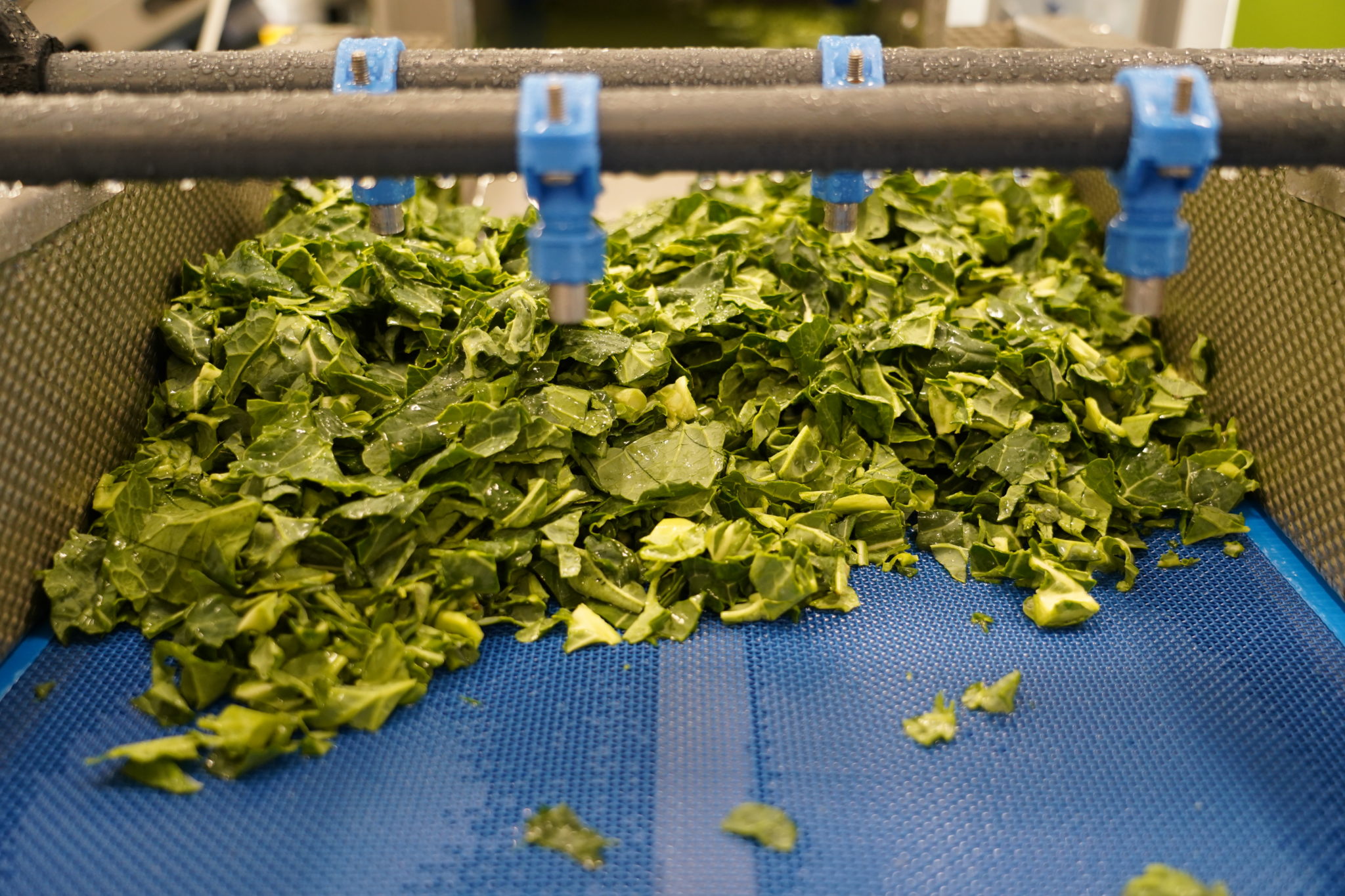 Working Landscapes: Warren County Food Hub - EdNC