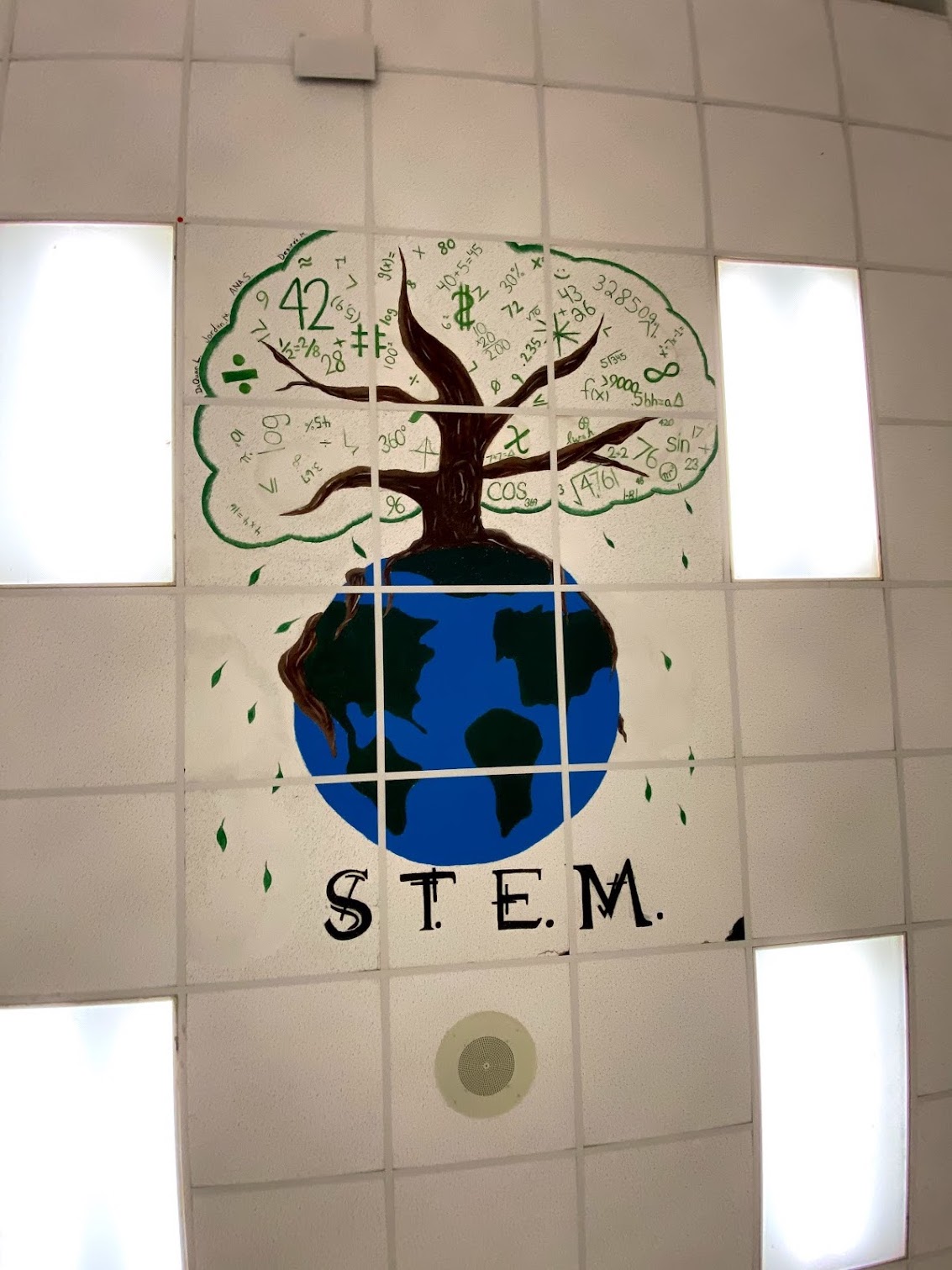 How to become a STEM School of Distinction - EdNC