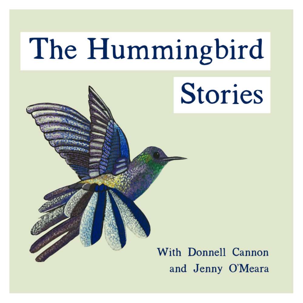 Hummingbird Season 2: Extraordinary education - EdNC