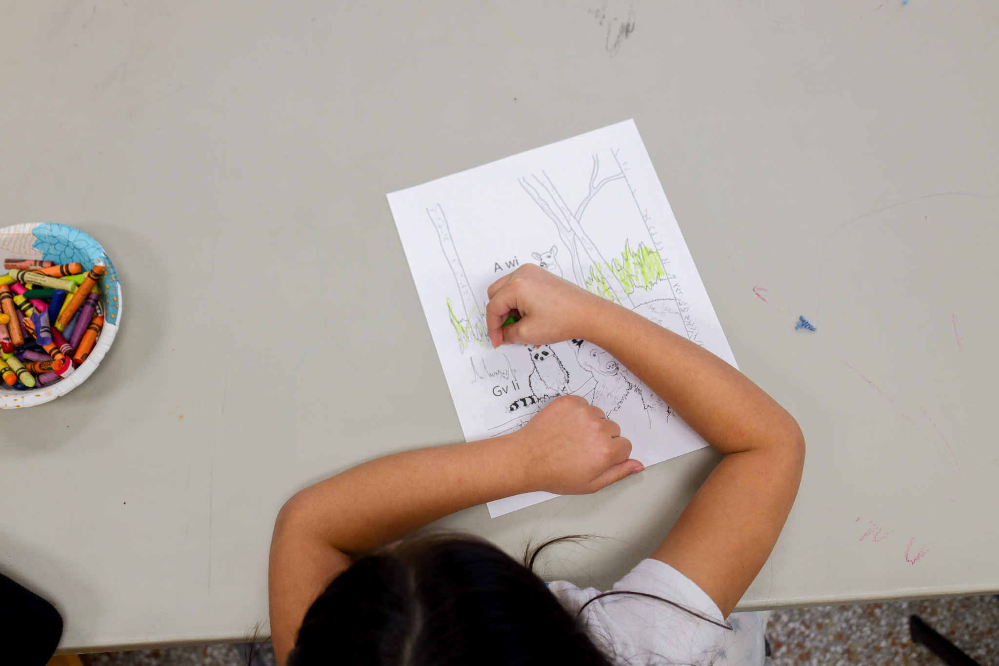 A North Carolina school teaches Cherokee culture - EdNC