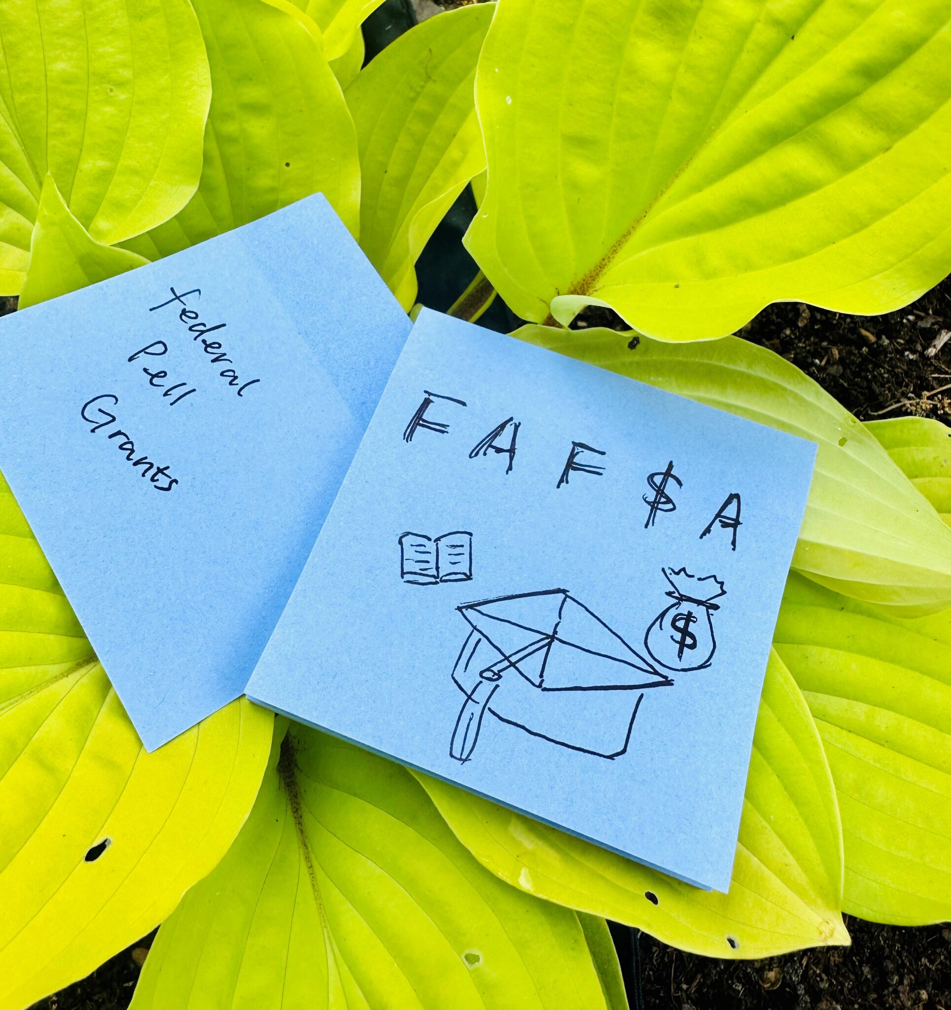 Progress toward FAFSA completion - EdNC