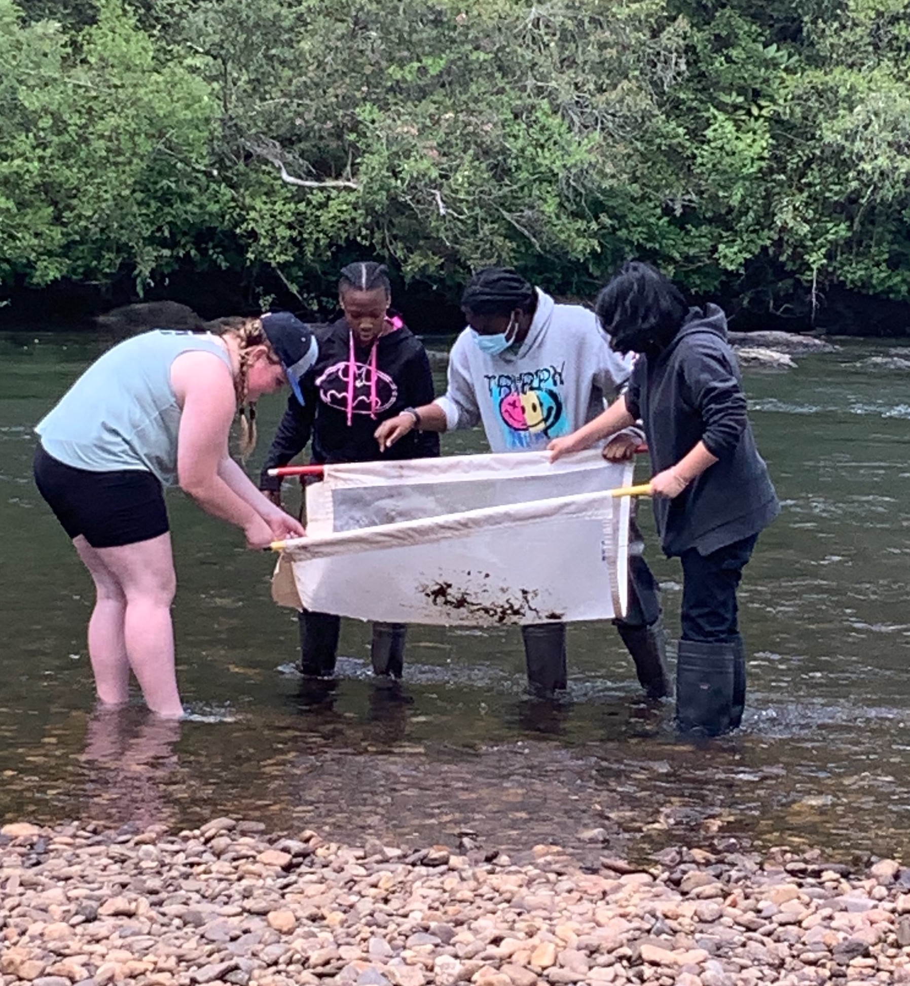 Teachers from Sylva and Charlotte collaborate for water project - EdNC