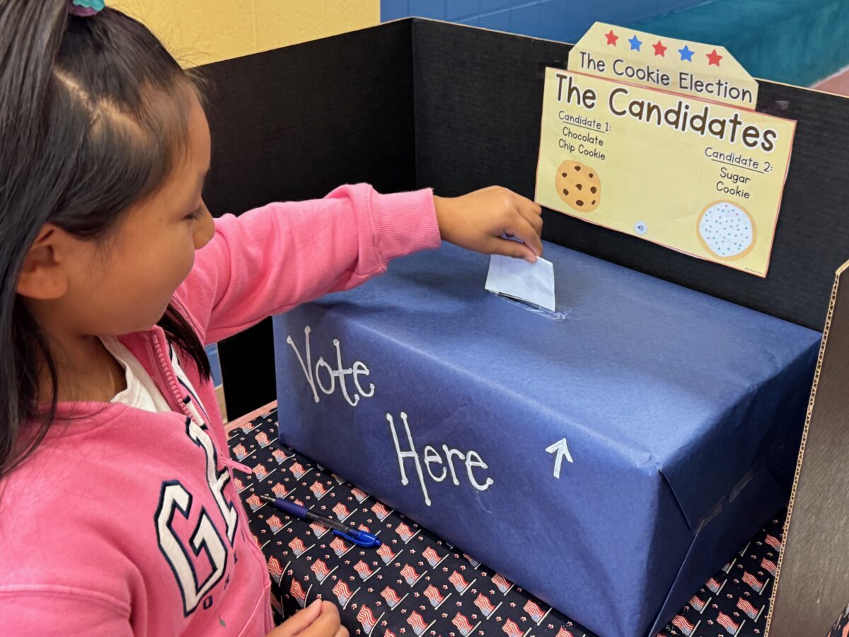 Cookies and the 2024 election: Everything you need to know - EdNC