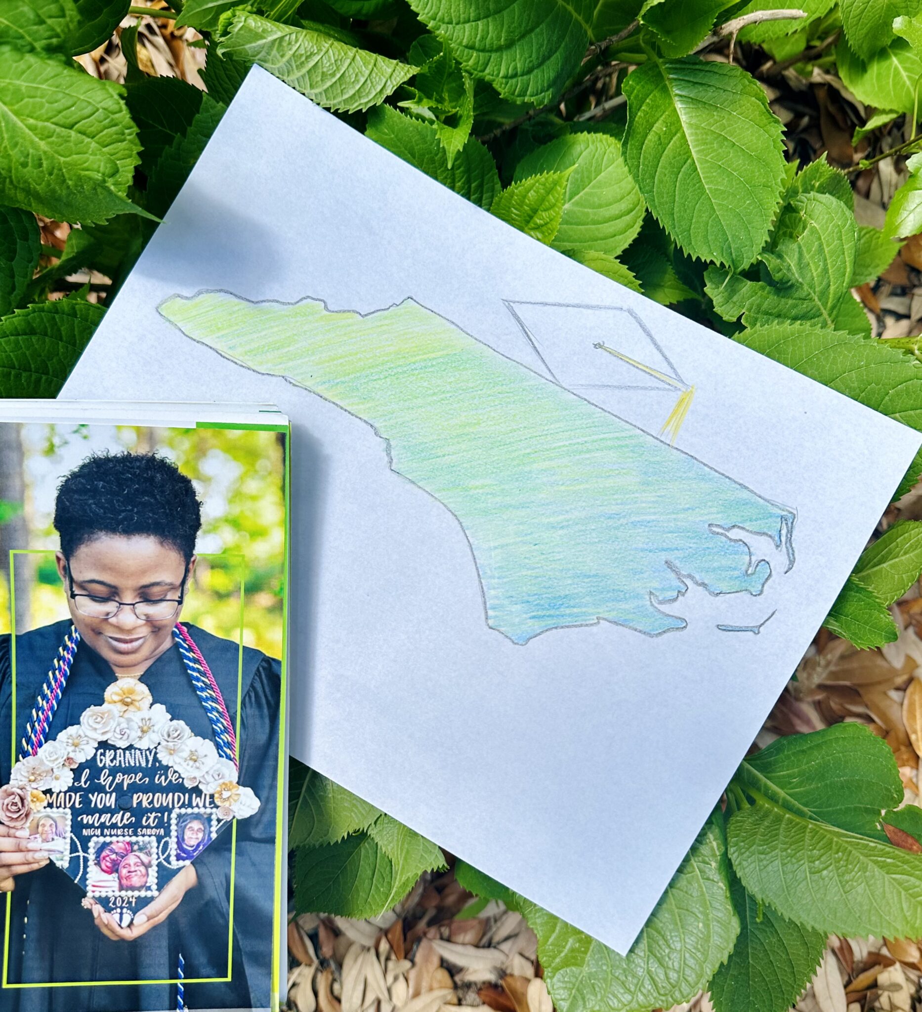 What North Carolina's new attainment map tells us - EdNC