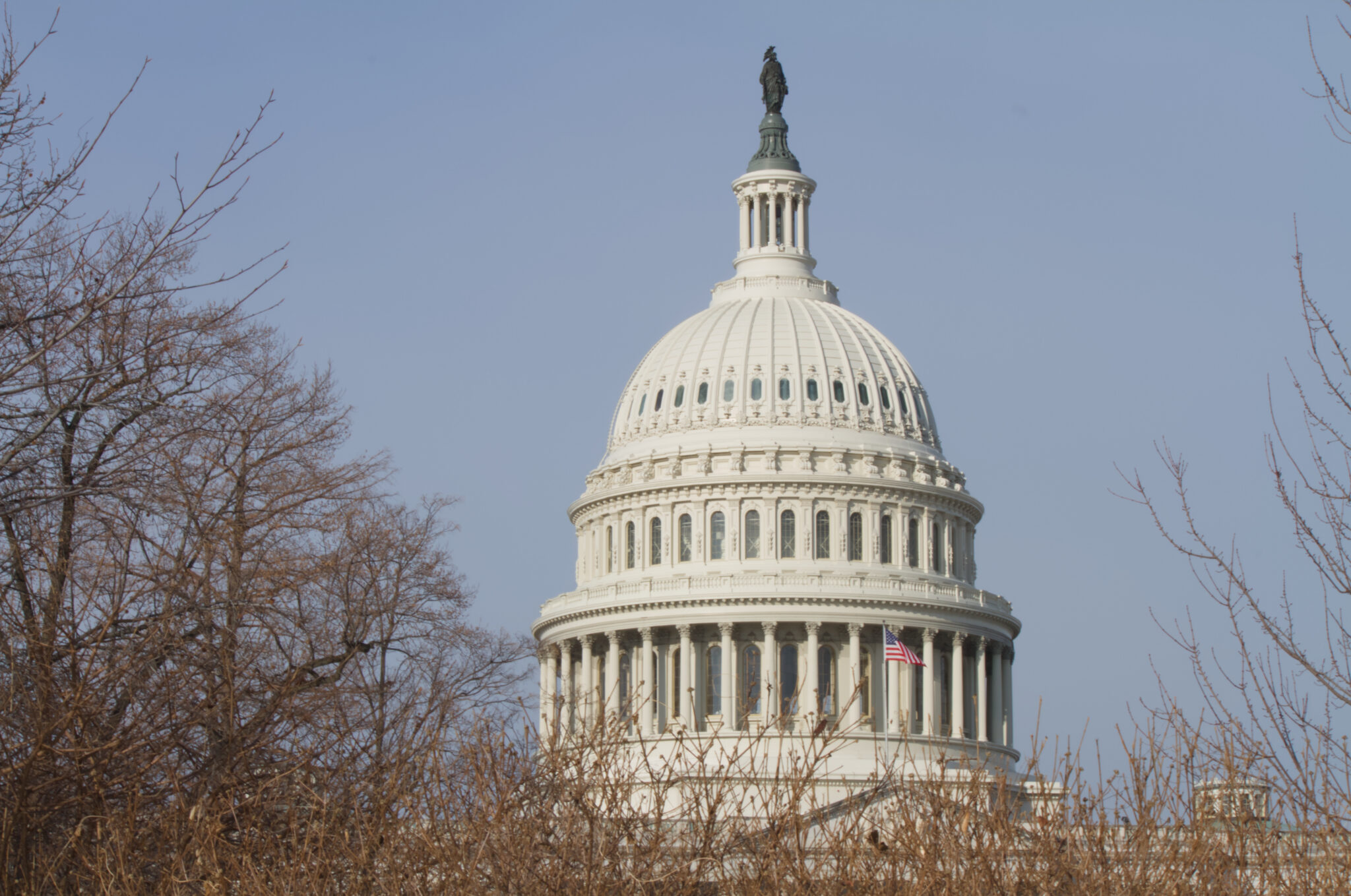 How can I contact my representatives? We have a guide for you - EdNC